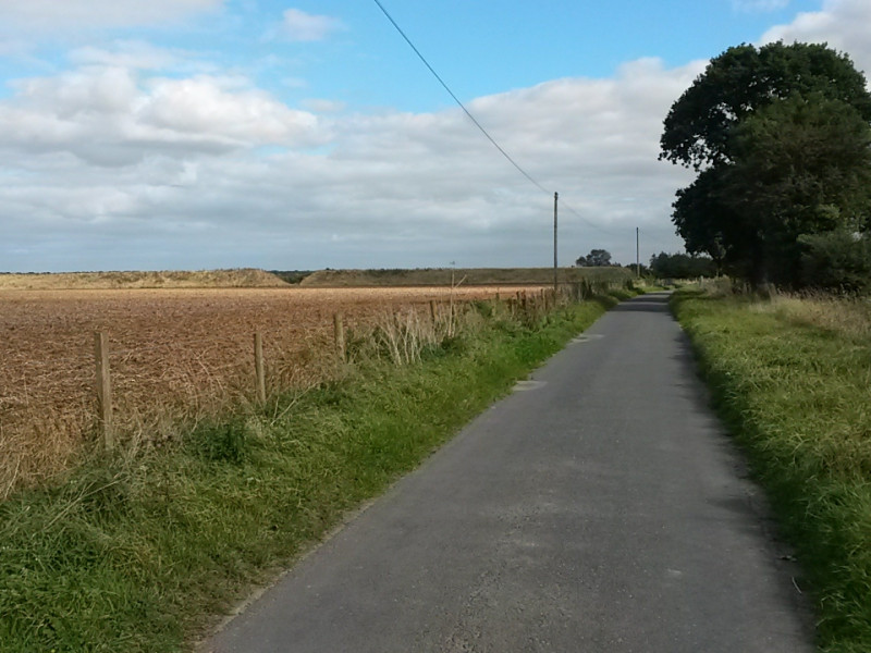 Rural and Urban Fringe